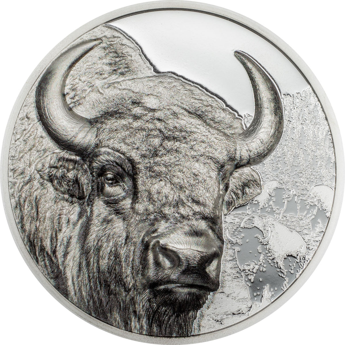 2025 Mongolia 500Tg Wild Mongolia - Bison 1oz Silver Coin – Melbourne ...